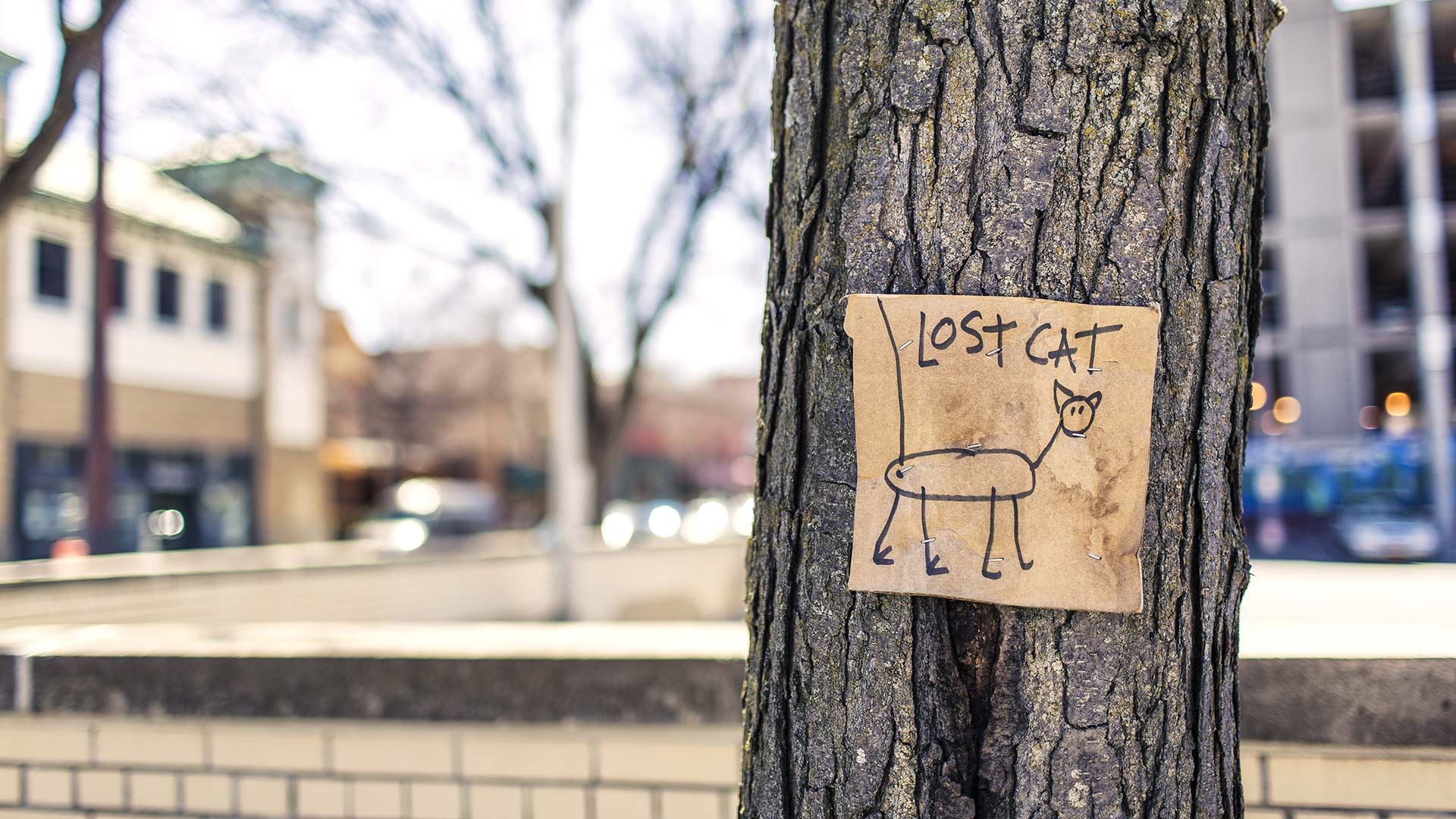 What is your Social Media Missing? - Revive Digital